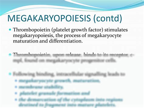 Solution Megakaryopoiesis Platelet Structure And Function 2 Studypool
