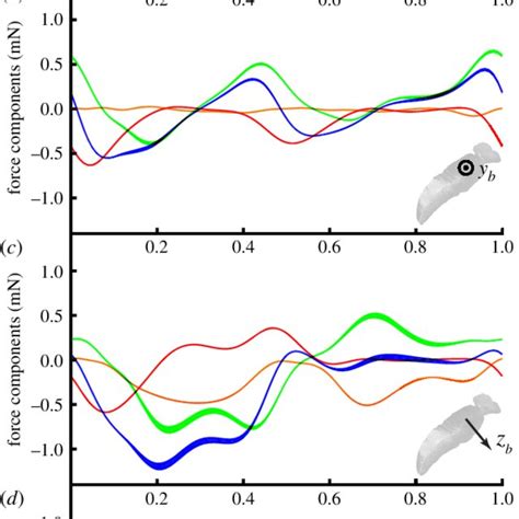 Predicted Time Varying Force Components For The Standard Hovering