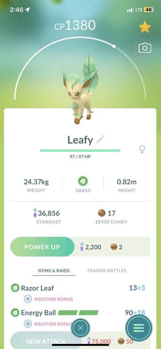 My Eevee Collection So Far R Eevee