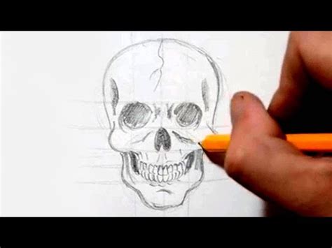 How To Draw A Realistic Human Skull How To Draw And Shade A Skull