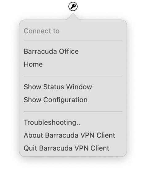 How To Establish A VPN Connection Using Barracuda VPN Client For MacOS Barracuda Campus
