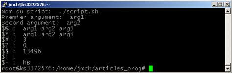 Initiation Aux Scripts Shell Pour Automatiser Des Tâches Les Variables