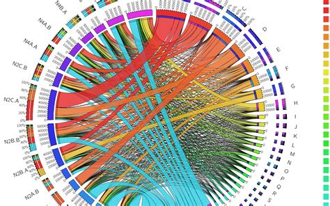 生物信息学 Circos图在线绘制 哔哩哔哩 ゜ ゜ つロ 干杯~ Bilibili