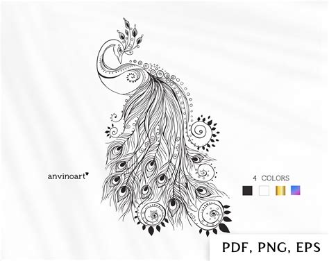 Peacock Line Drawing