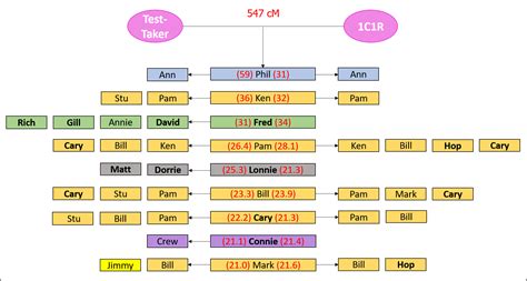 Spreadsheet For Ancestry Dna Matches For Clustering Shared Matches The Genetic Genealogist — Db