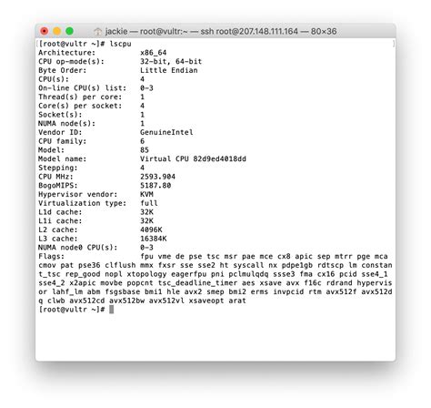 Linux下查看主机cpu信息的三条命令 曙光博客