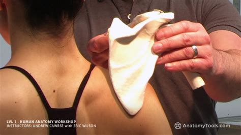 AnatomyTools Workshop Photo Galleries