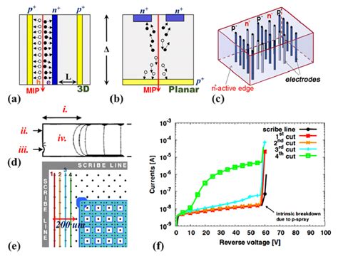 9 Schematic Cross Sections A Of 3d Detector Emphasizing The Download Scientific Diagram