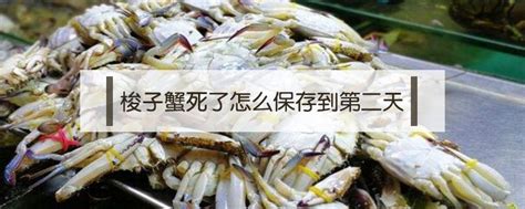 梭子蟹死了怎么保存到第二天 鲜淘网