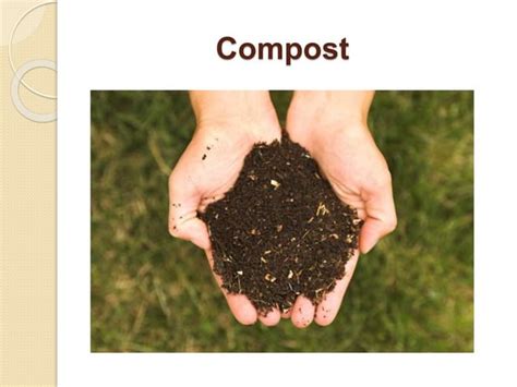 Compost And Composting Ppt Free Download
