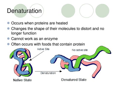 Chemical Reactions Energy And Enzymes Ppt Download