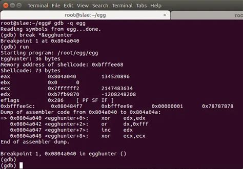 Linux Egg Hunter X86 Opentechtips