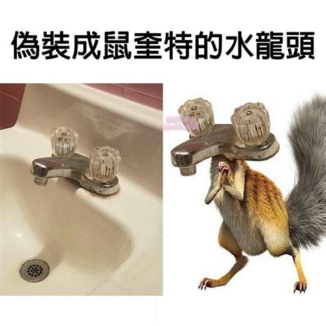 抓到了
