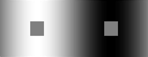 Simultaneous Brightness Contrast The Gray Patches Are Equiluminant