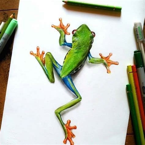 Coloured Pencil Tree Frog Artofit