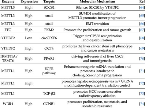 Rna Modification And Liver Cancer Download Scientific Diagram