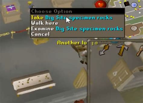 Osrs Ammonite Crabs Guide How To Get There Training Methods Osrs Guide