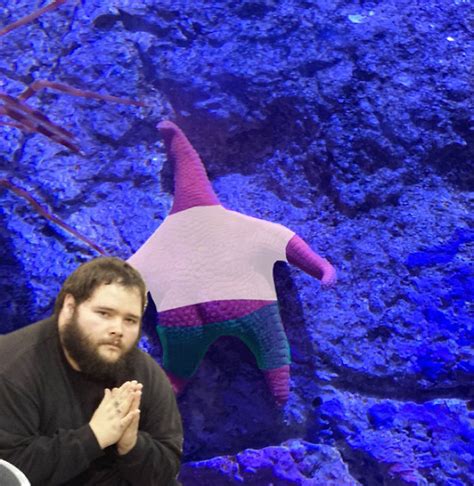 Someone Finds A Patrick Lookalike Starfish At An Aquarium Inspires A Funny PS Battle 20 Pics