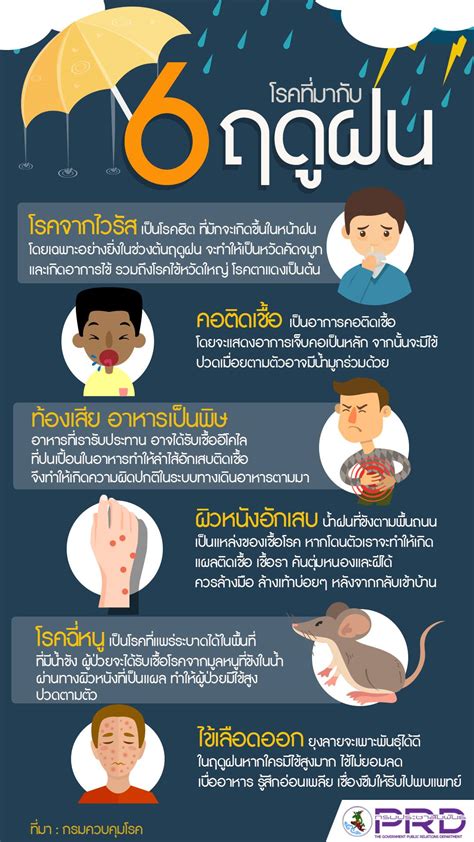 6 โรคที่มากับฤดูฝน Prdinfo โรค ฤดูฝน กรมประชาสัมพันธ์