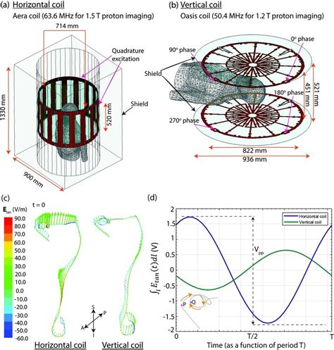 Rf Coil Models And E Tan Distribution A Numerical Models Of The 1 5 Download Scientific