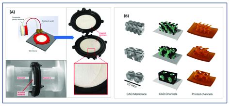 Structures Of Complex Shapes Of 3d Printed Membranes A Design Of An