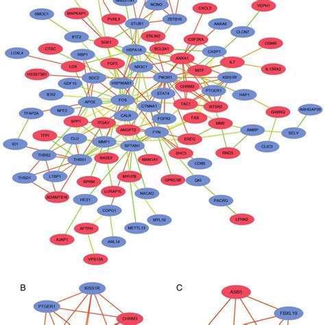 Protein Protein Interaction Network Analysis A A Protein Protein