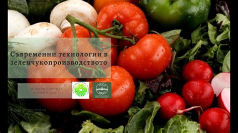 Съвременни технологии в зеленчукопроизводството Youtube