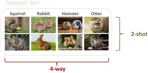 【计算机视觉】zero Shot One Shot和few Shot 阿里云开发者社区