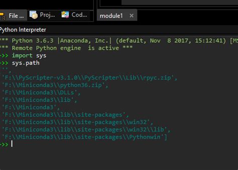 Pyscripter 32 Bit Verison Watchdas