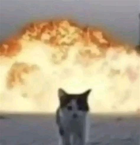 Create Meme Cat Explosion Epic Cat A Cat On The Background Of An Explosion Pictures Meme