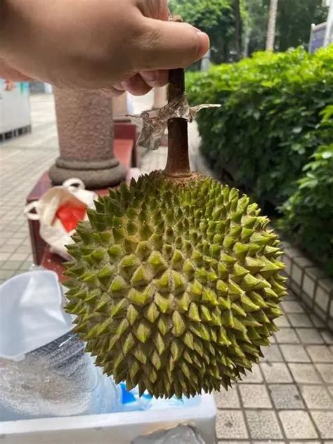 烦死了女朋友说他前男友的很大，经常提起前任男友怎么办 知乎