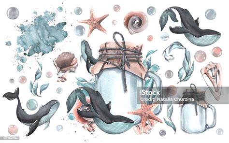 고래 조개껍데기 조류 거품 반점 물보라 불가사리가 담긴 유리병 손으로 그린 수채화 그림 흰색 배경에 요소가 있는 격리된