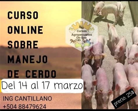 Cursos Agropecuarios Hn Online Hola Hola Quiere Aprender A Manejar