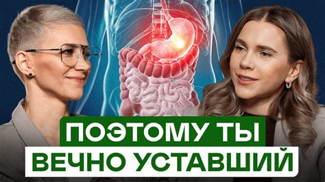 ЖКТ управляет ТВОИМ мозгом Как побороть пищевую зависимость и избавиться от Стресса навсегда