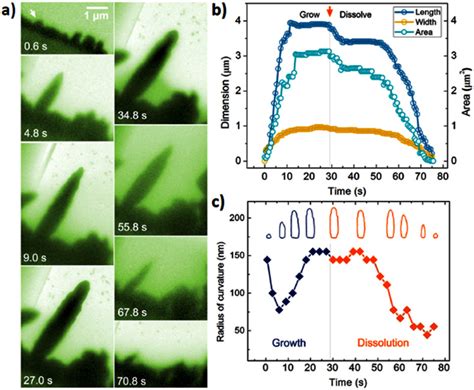 Structural And Morphological Evolution Of Lead Dendrites During