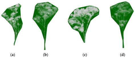 Applied Sciences Free Full Text Soft Segmentation Of Terrestrial