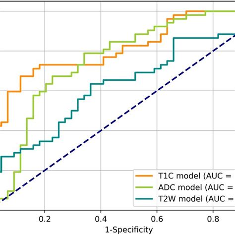 The Conceptual Architecture Of The Multiparametric Mri‐based