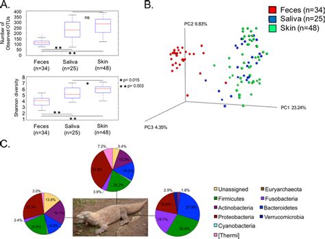 A Box And Whisker Plots Illustrate The Median Maximum Minimum And