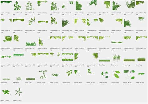 100 Tree And Leaves Photoshop Overlays Wedding Photoshop Etsy