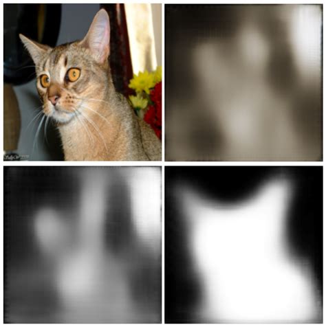 Using Segmentation To Boost Classification Performance And Explainability In Capsnets