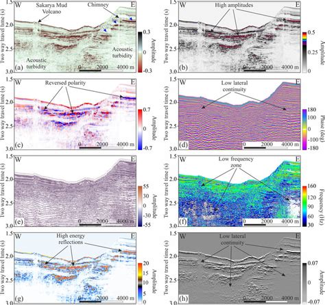 Examples Of Different Seismic Attribute Sections A True Amplitude Download Scientific