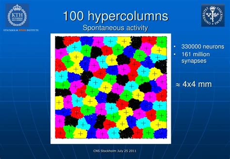 Ppt Perceptual And Memory Functions In A Cortex Inspired Attractor