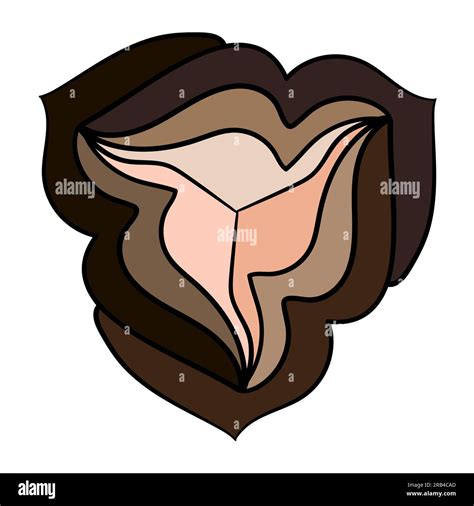 Ornamental Graphic Design Element Vector Illustration Stock Vector