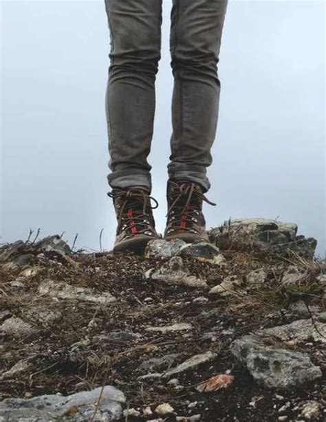 얼갈이배추 심는 방법과 재배 요령 소개