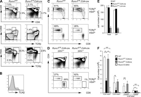 Runx1 Is Required For Positive Selection And Maturation Of Cd4sp Download Scientific Diagram
