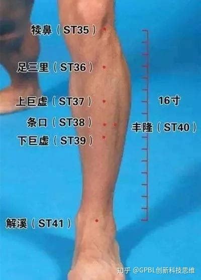 调理手颤手麻脚麻面部神经麻痹它们是立竿见影的必调穴 知乎