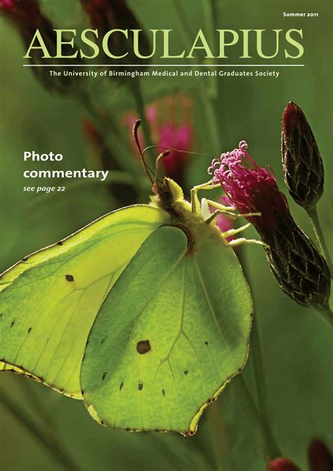 Pdf Elective Report Paediatric Severe Malaria In Kampala