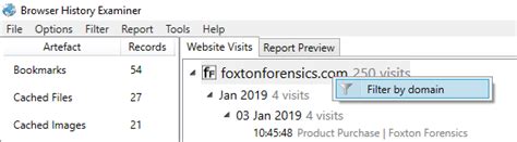 Website Visits Timeline Bhe User Guide Foxton Forensics