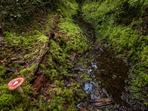 Lego Technic Build R Sonyxperia