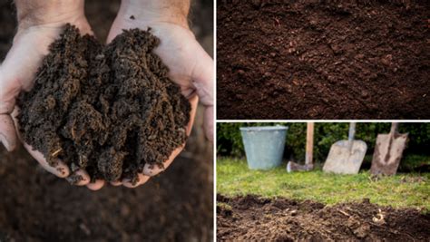 A Complete Guide To Amending Your Garden Soil Ship My Plants